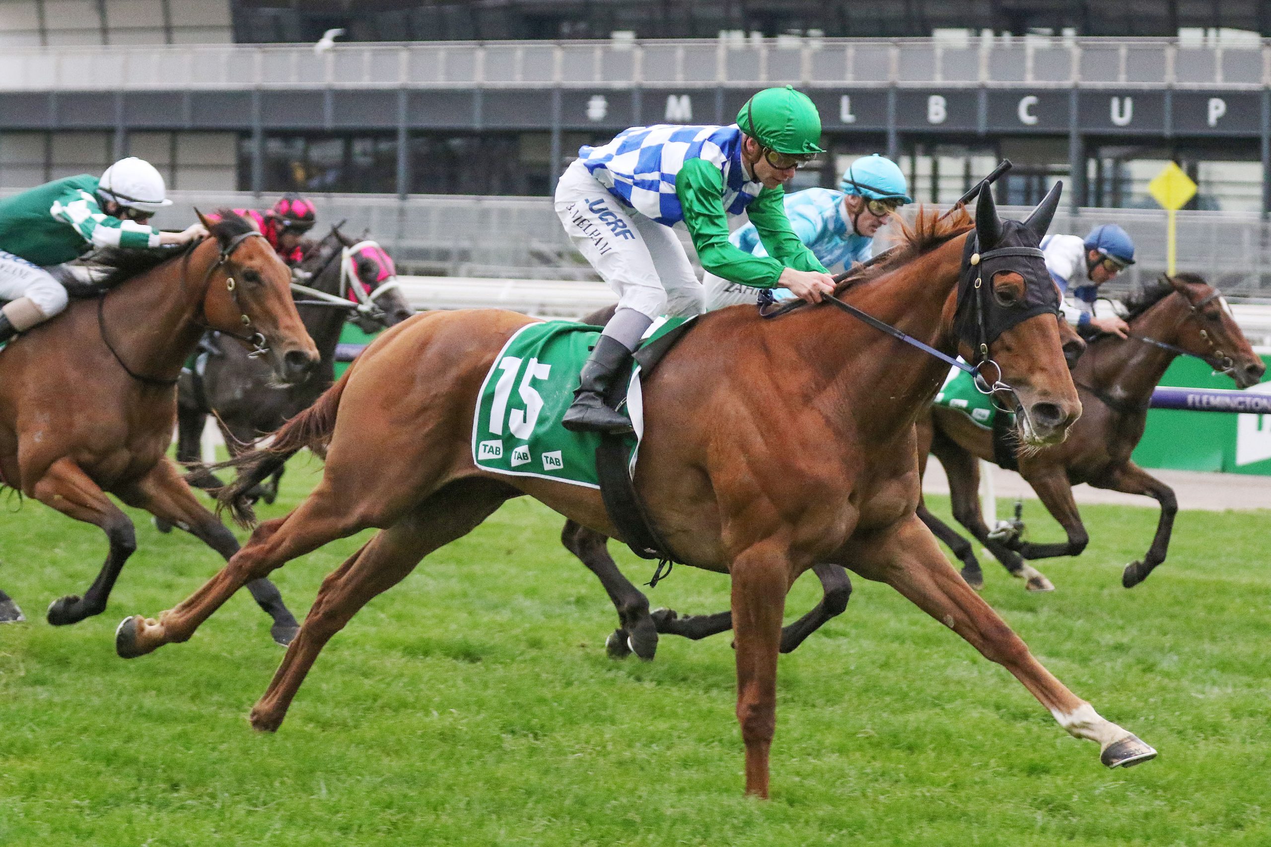 2021 Golden Mile to shed some light on Moonlight Maid | Sports News ...