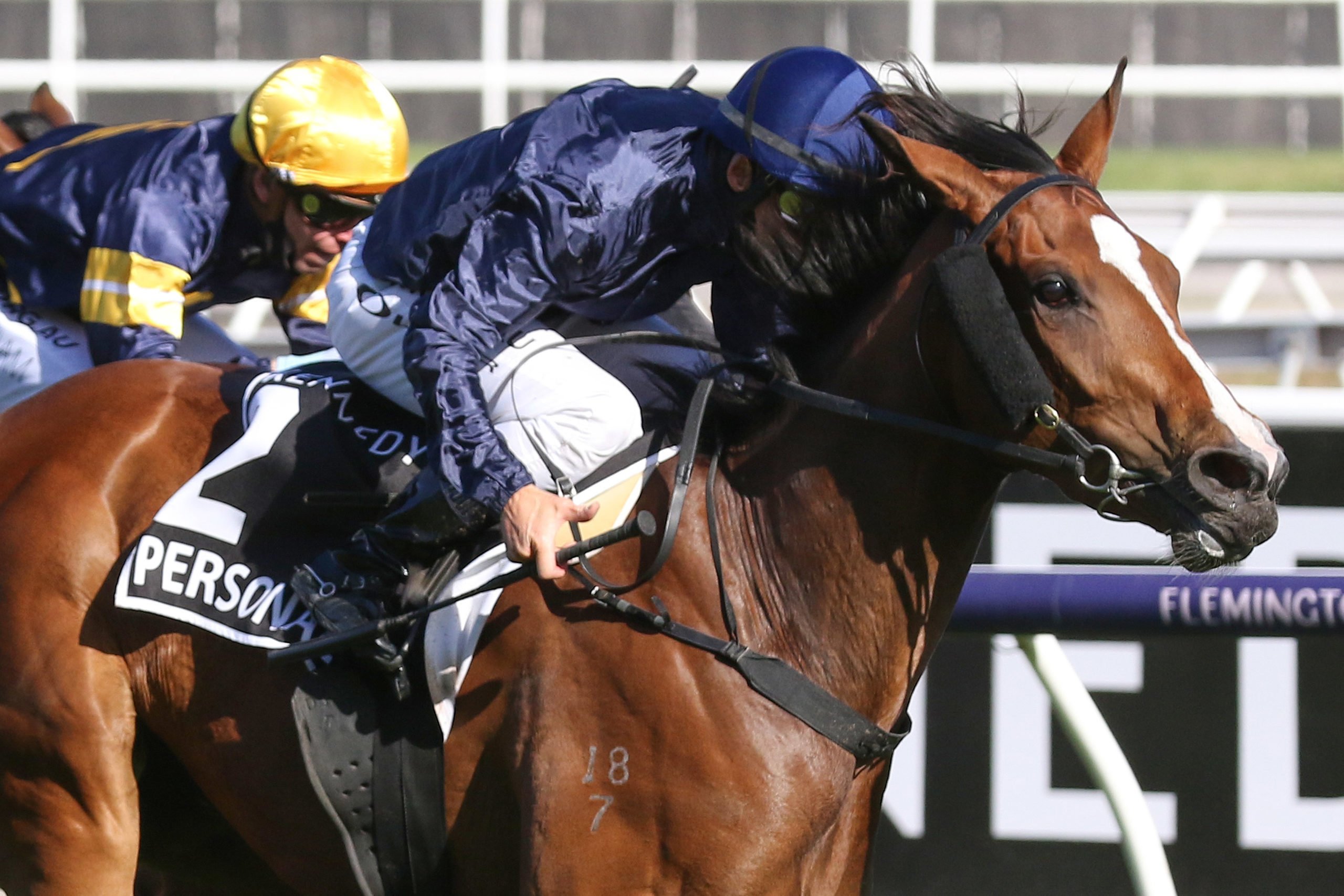 Vinery Stud Stakes bound filly to have a tune-up in Albury | Sports ...