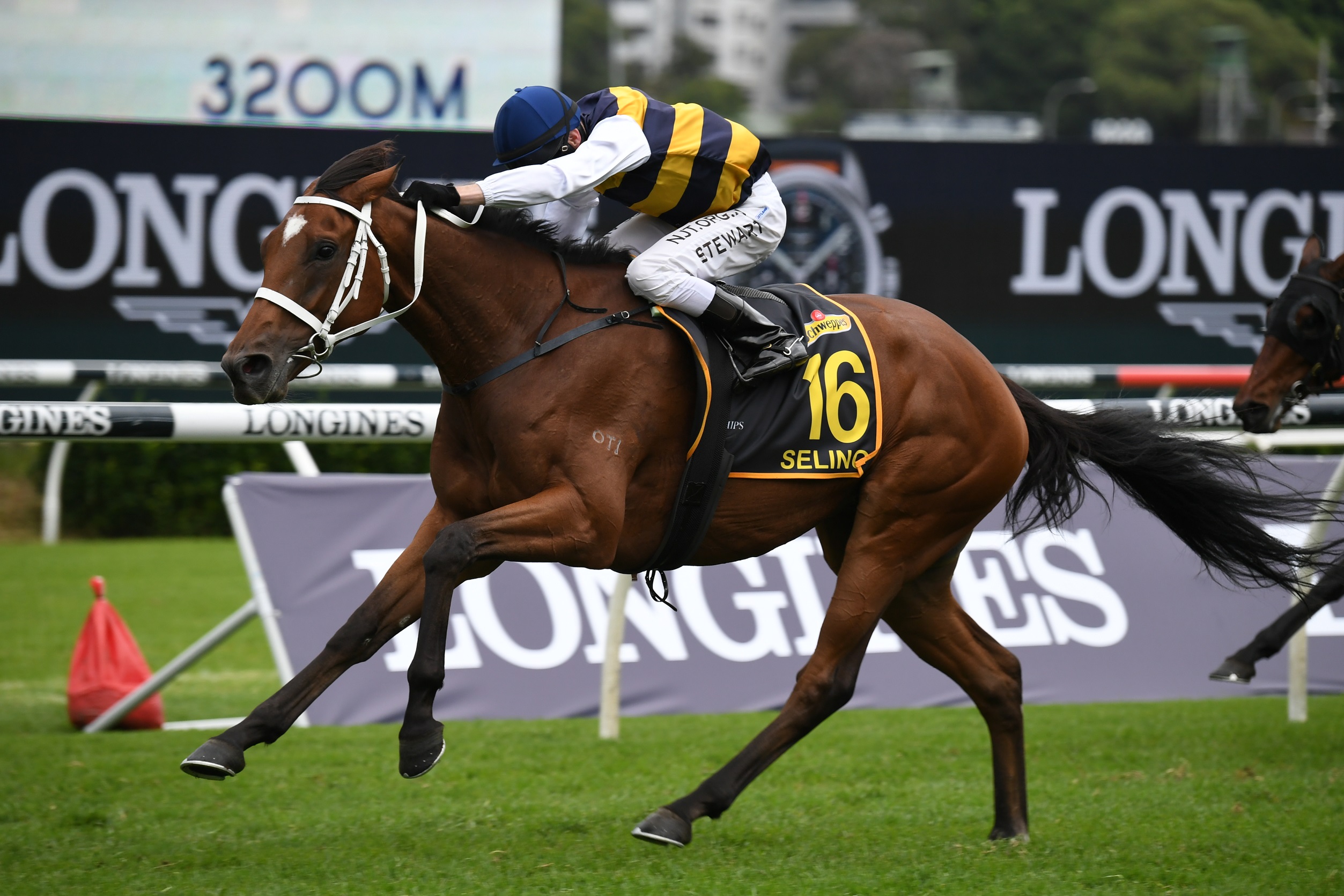 Selino scores an upset win in the G1 Sydney Cup | Sports News Australia