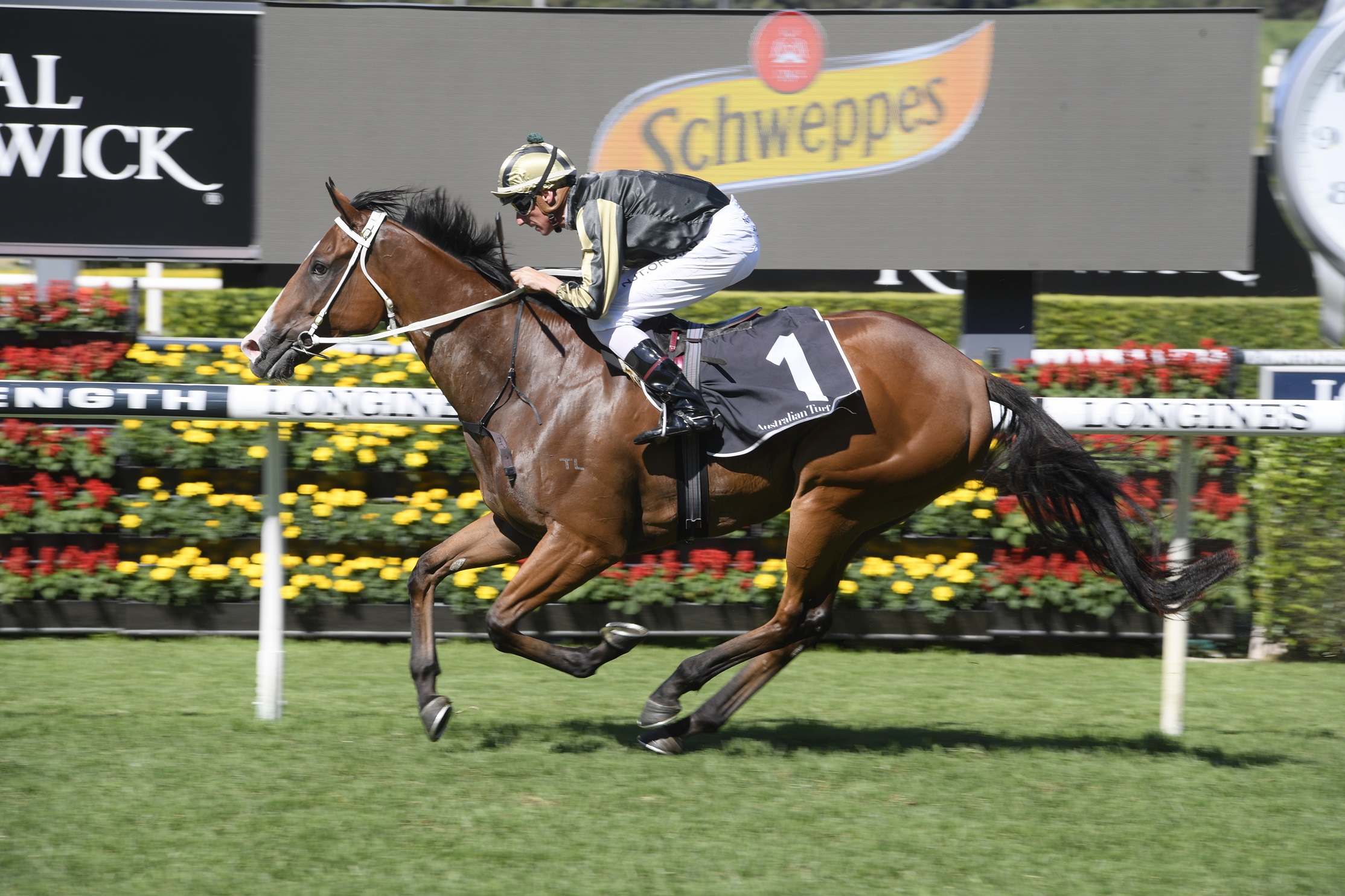 Snitz set for return in 2021 Hawkesbury Gold Rush | Sports News Australia