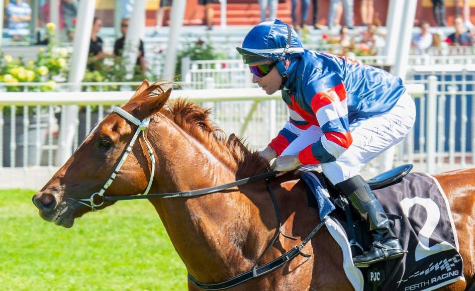 Adam Durrant's glowing assessment of 2021 Roma Cup rival | Sports News ...