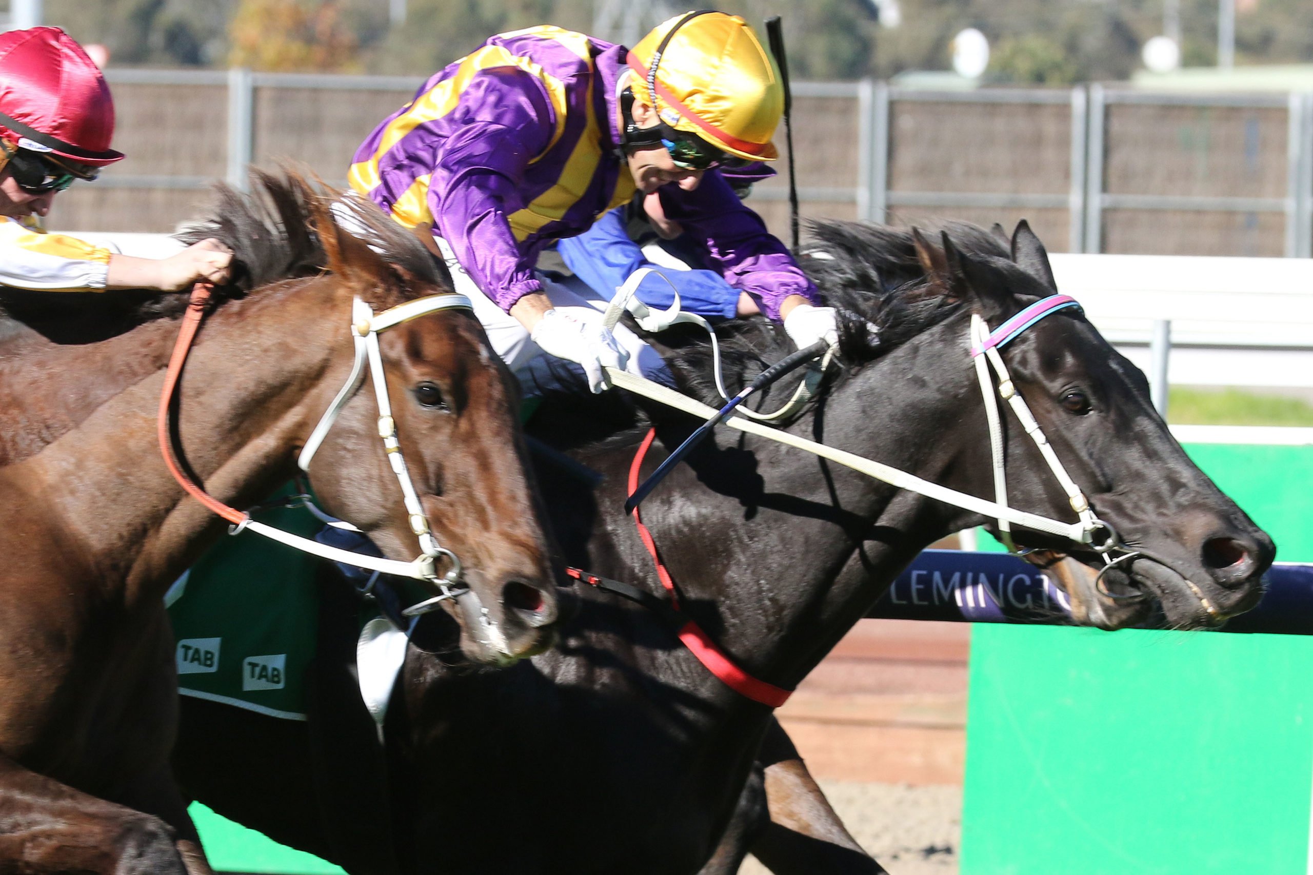 Mongolian Marshall gets the bob in tight finish at Flemington | Sports ...