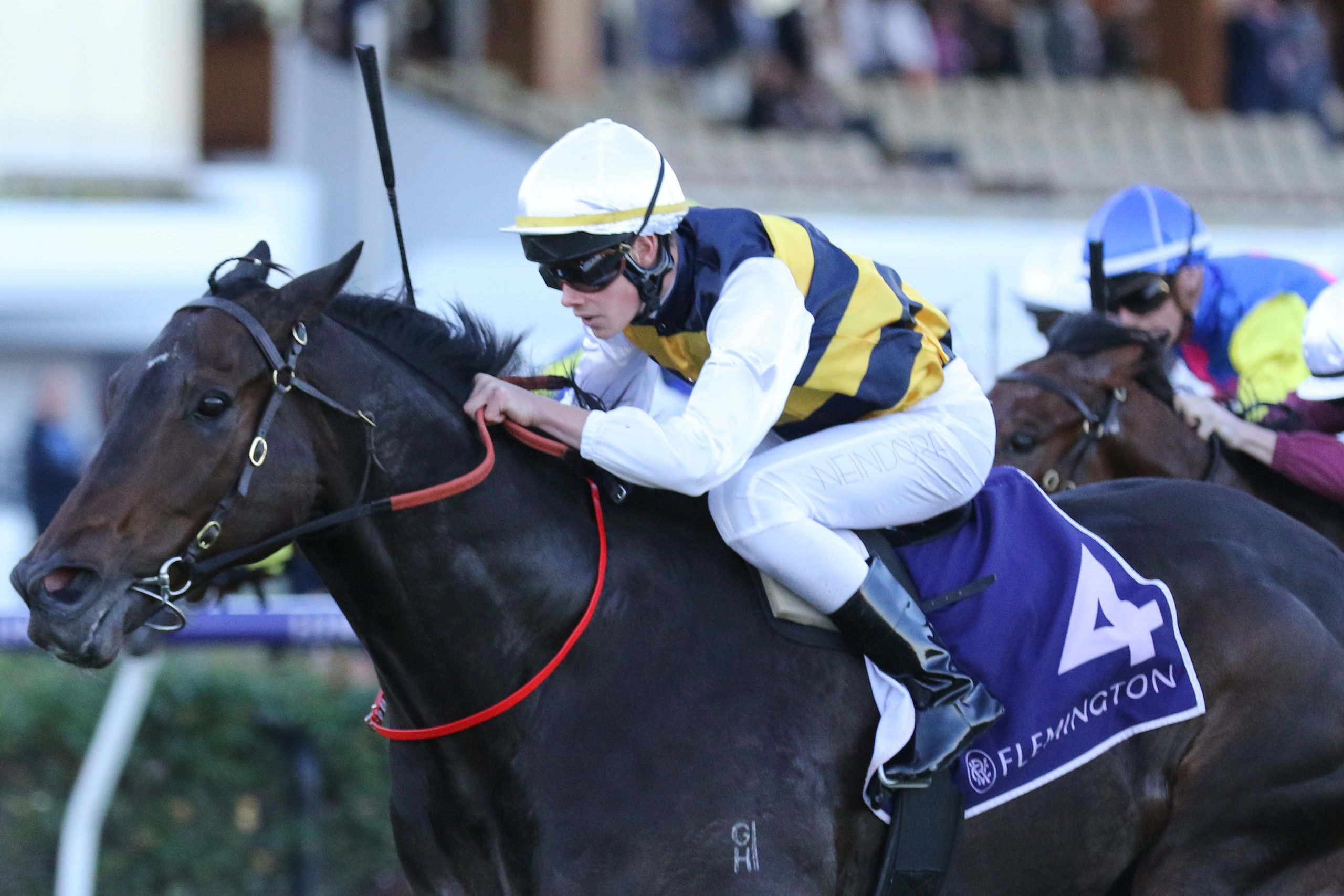 Romancer scores knock-out blow in The Straight Six at Flemington ...