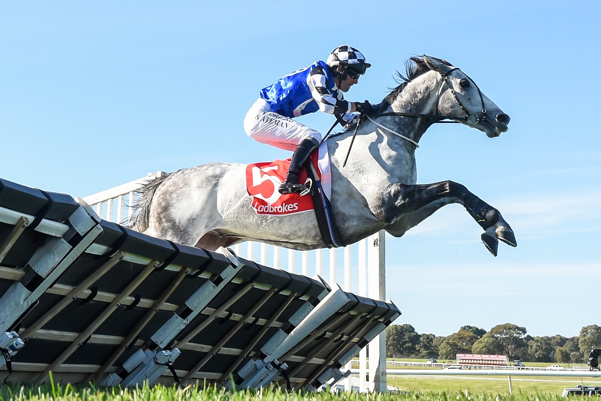 Saunter Boy bounces back in style in the 2021 Australian Hurdle ...