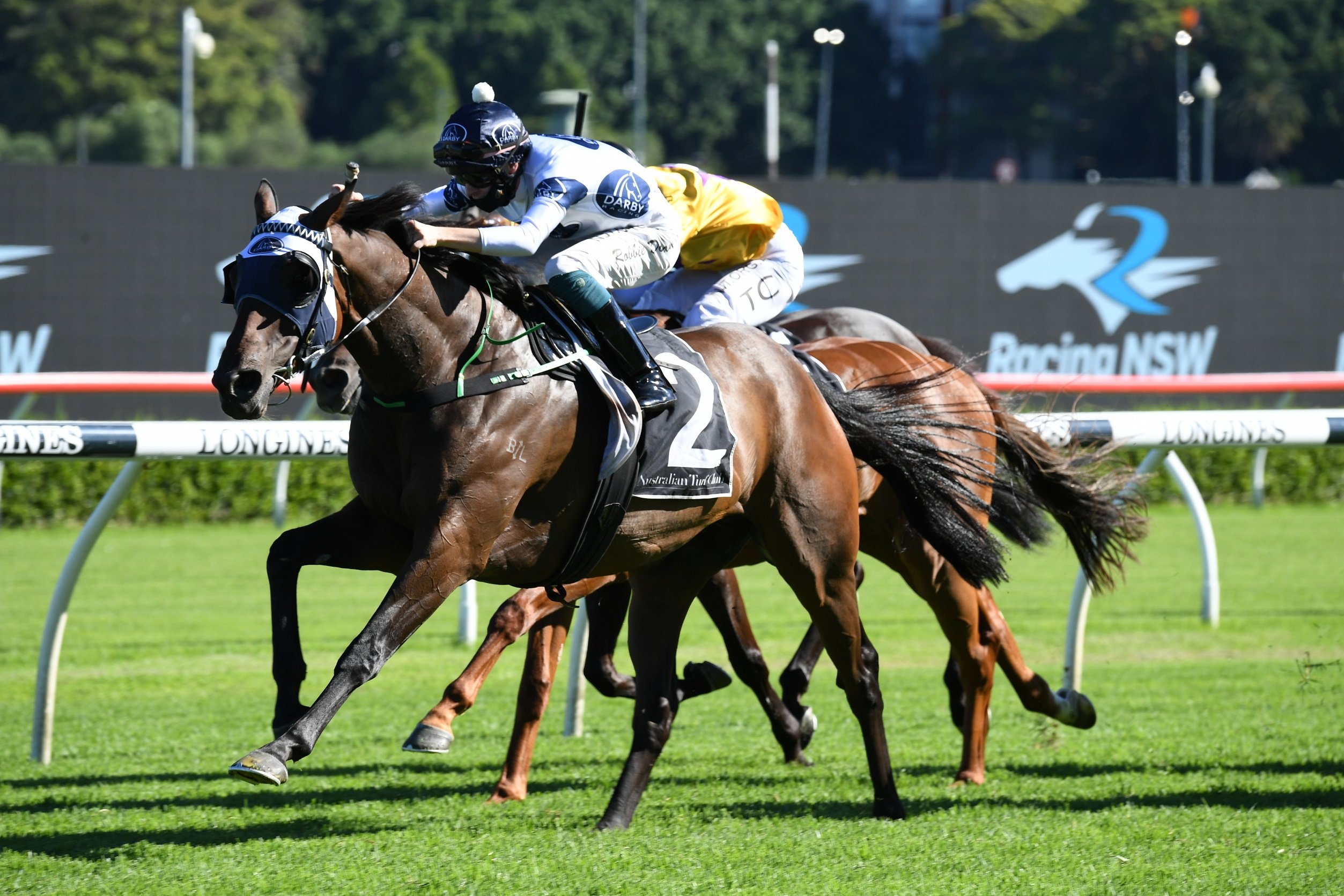 Mark Newnham excited ahead of 2021 Wagga Cup | Sports News Australia