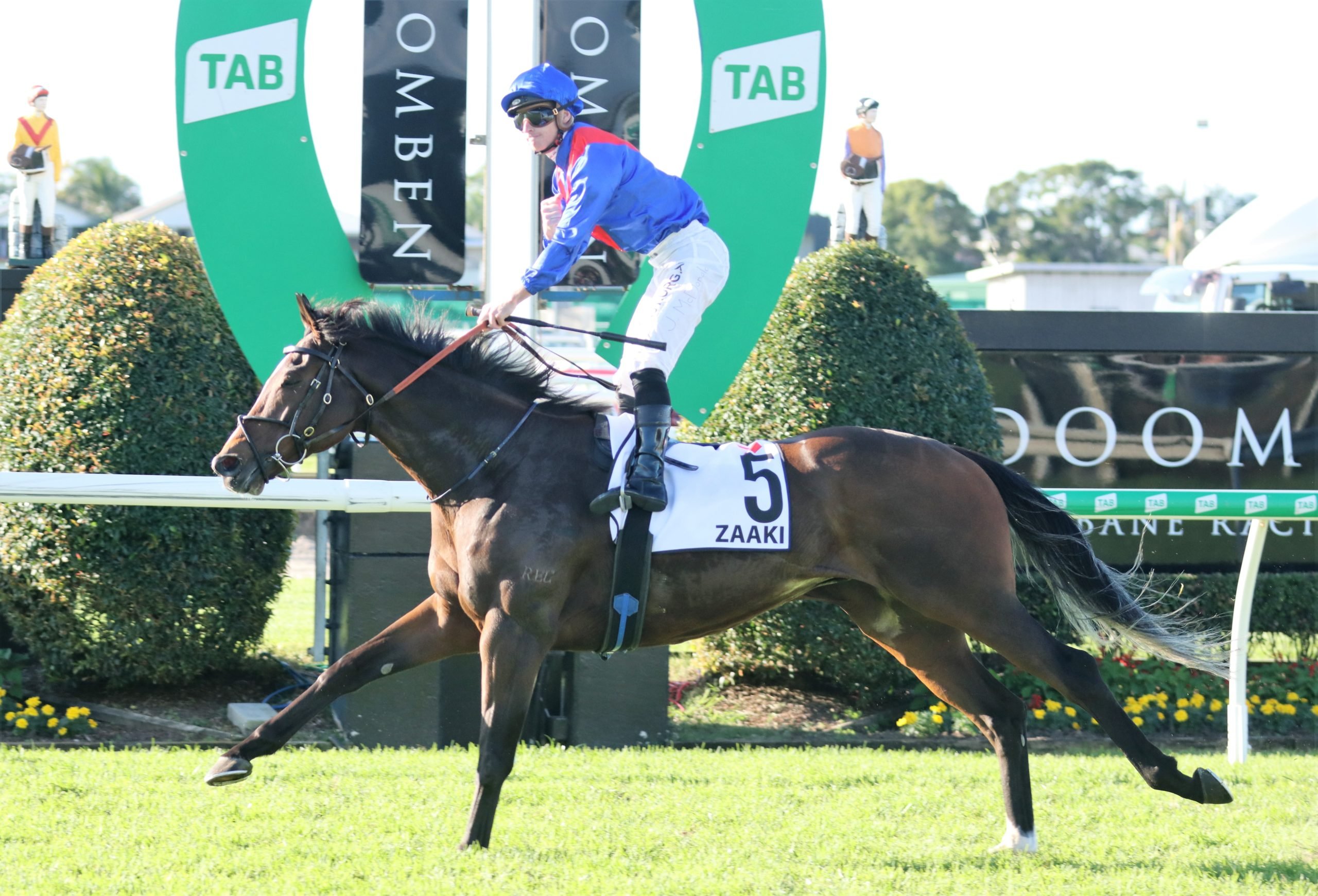 Zaaki demolishes strong field in the 2021 Doomben Cup | Sports News ...