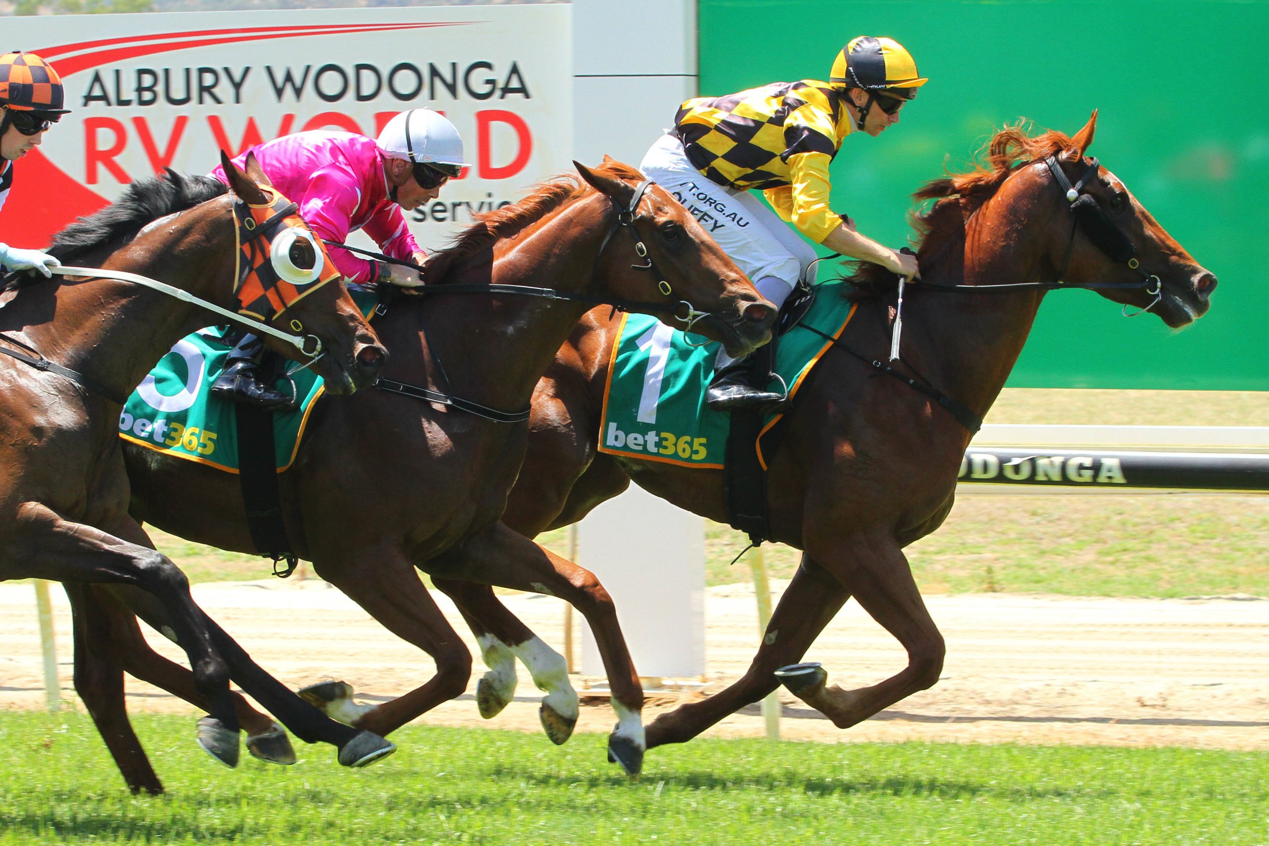 Brenlyn's Trooper chases win at Flemington races | Sports News Australia