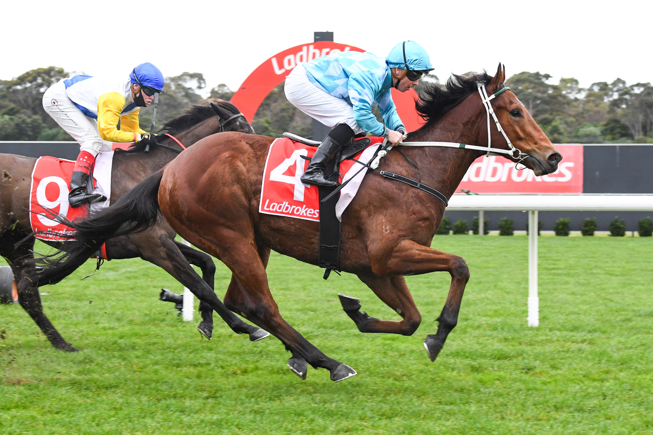 Cecil Street Lad impresses in debut at Sandown races | Sports News ...