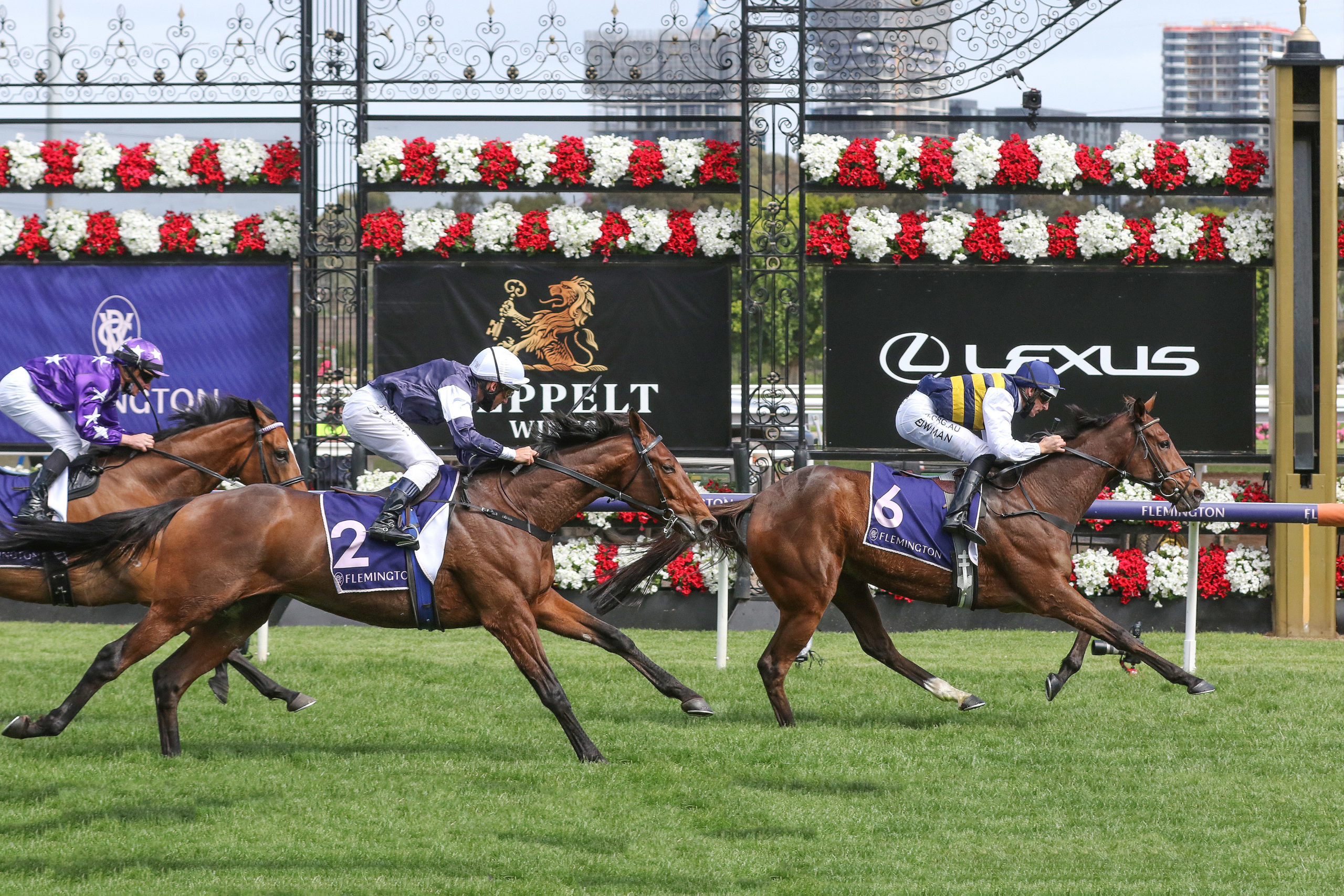 RV remain hopeful of international horses for spring racing carnival ...