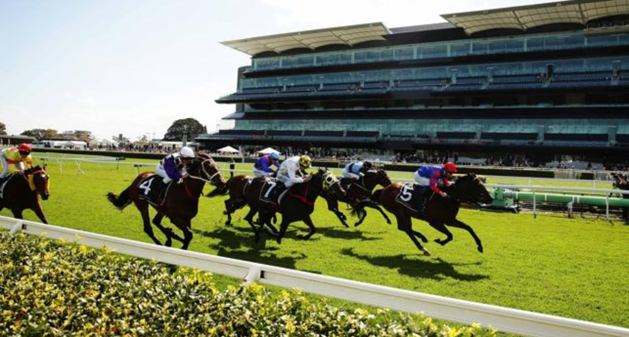 Randwick (Kensington) races Tips, Race Previews and Selections – 4/8 ...