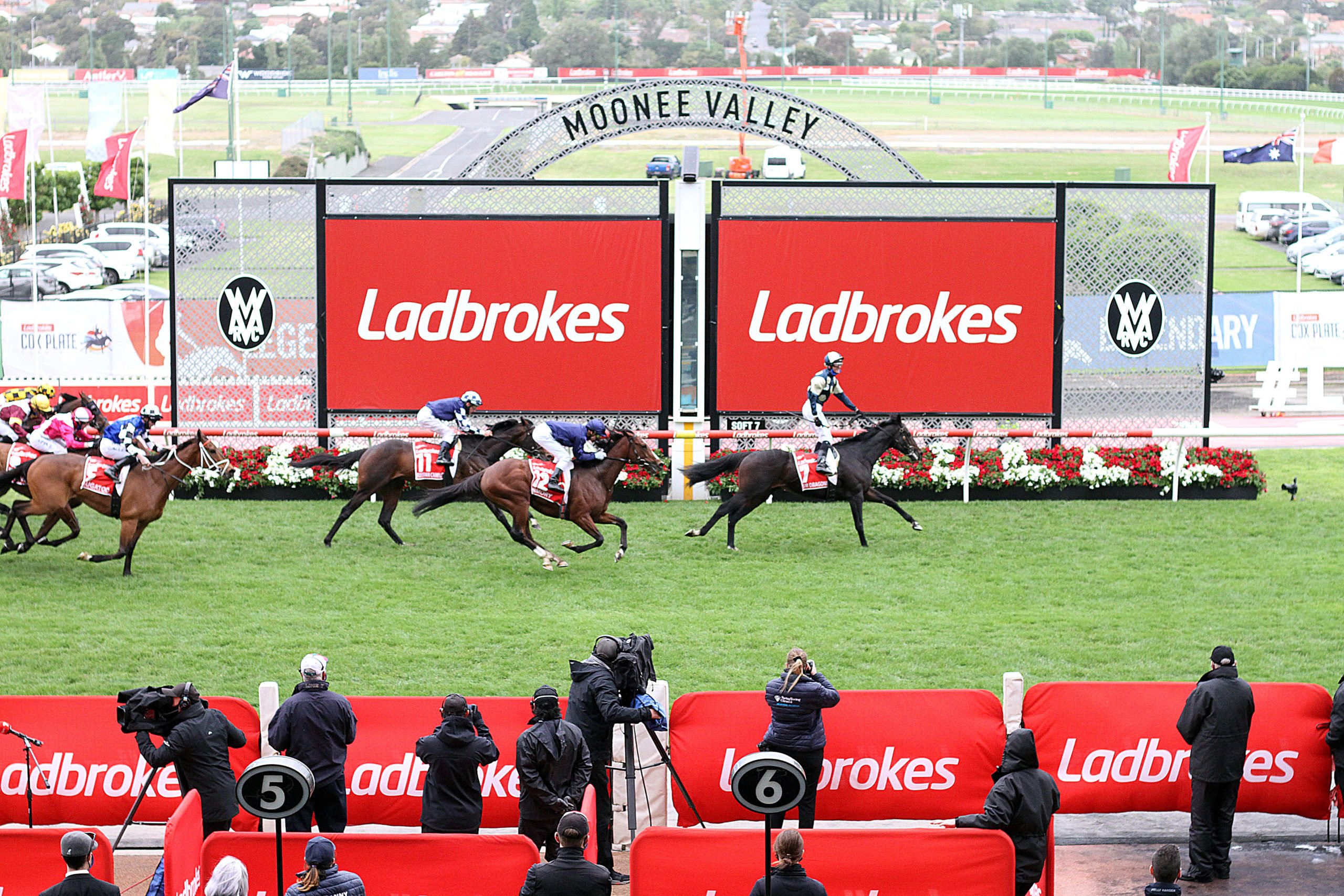 Spring carnival contenders set to jump-out at Cranbourne | Sports News ...