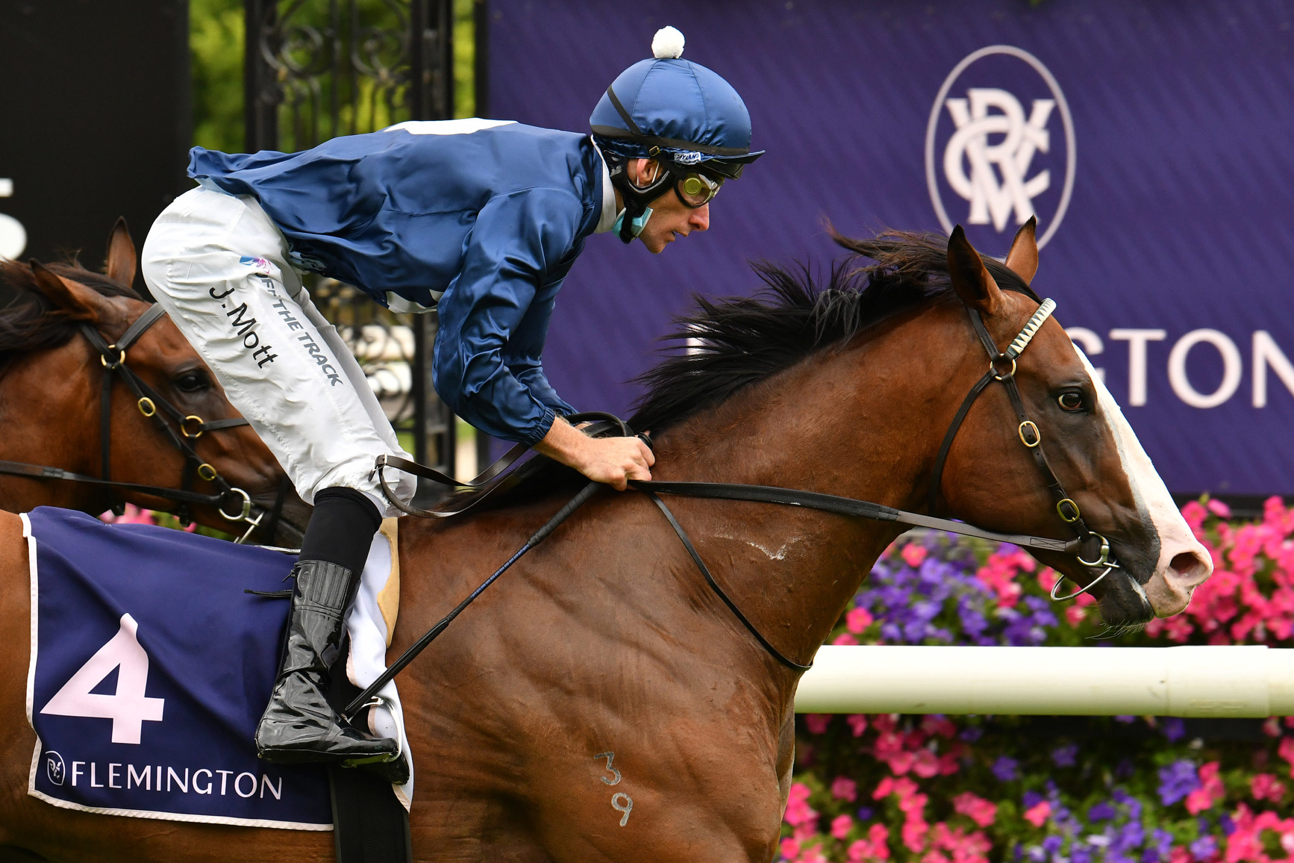 Blue Diamond Stakes 2022 ambitions not so Lofty for Julius Sandhu ...