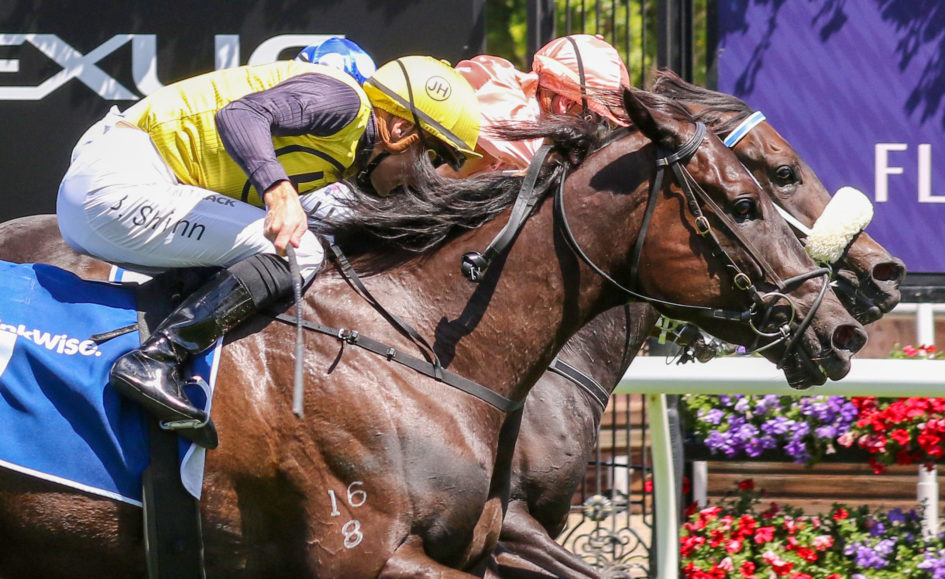 Blake Shinn cops double whack from stewards | Sports News Australia