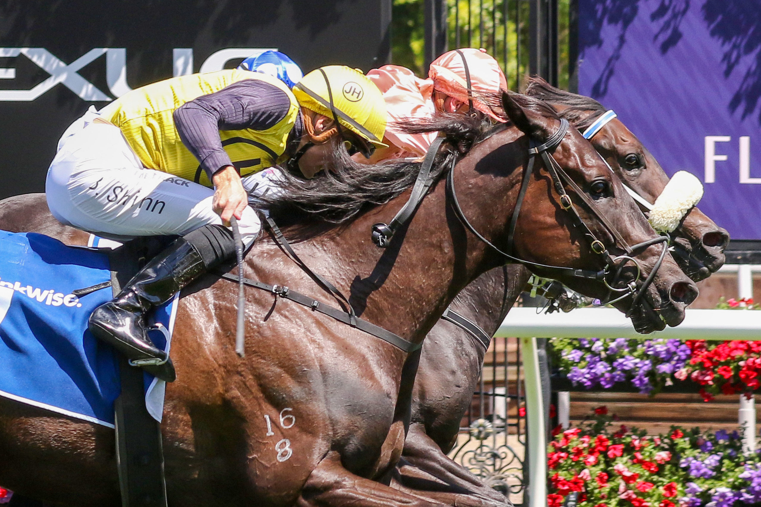 Blake Shinn cops double whack from stewards | Sports News Australia