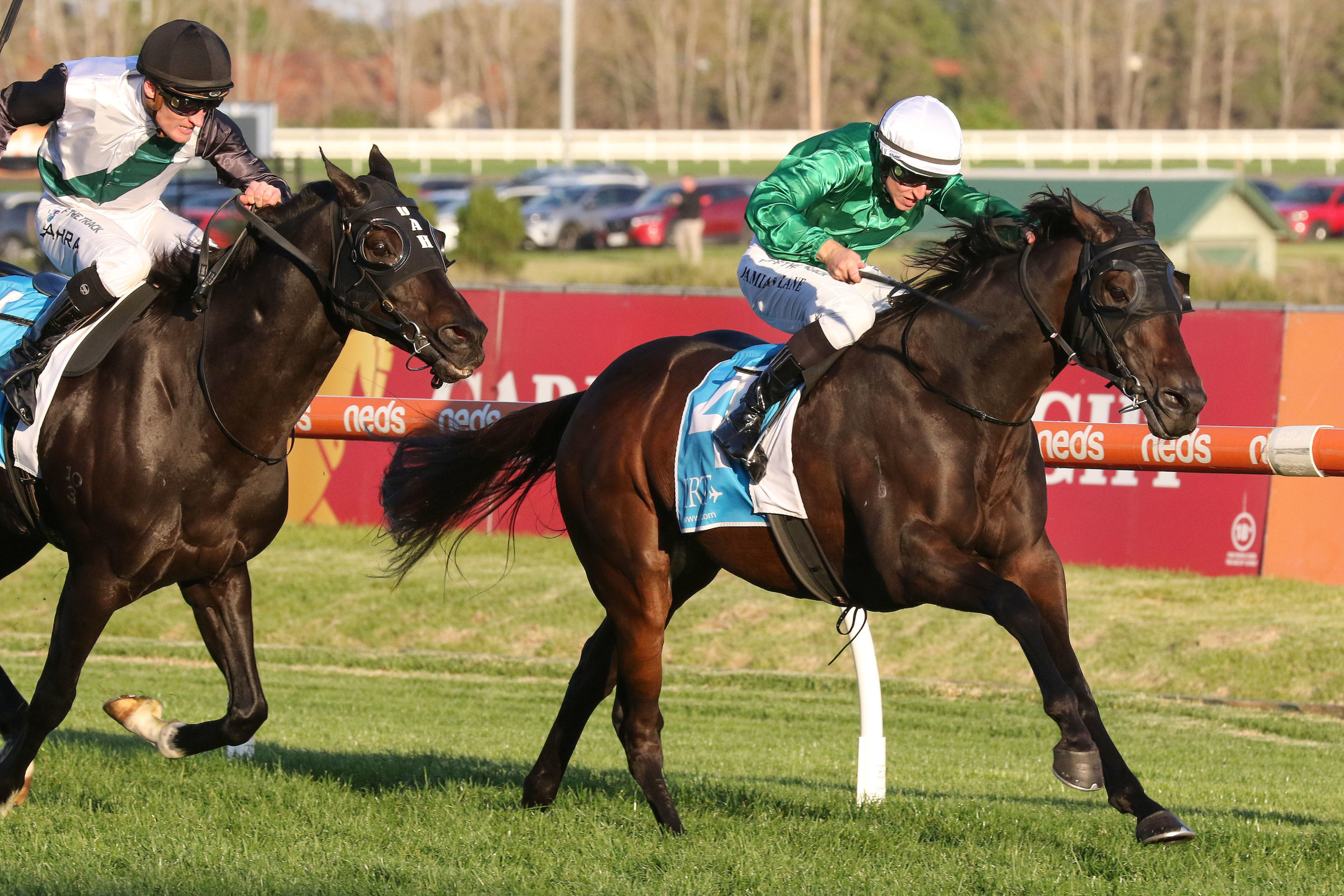 Imperial Lad looking for VOBIS payday at Sandown | Sports News Australia