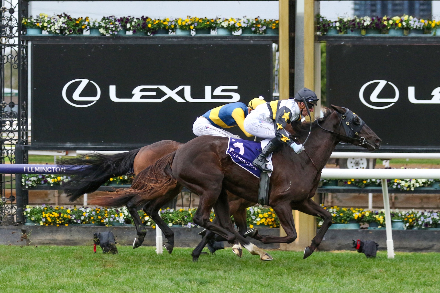 Mimi's Award prevails in Flemington Cup 2023 | Sports News Australia