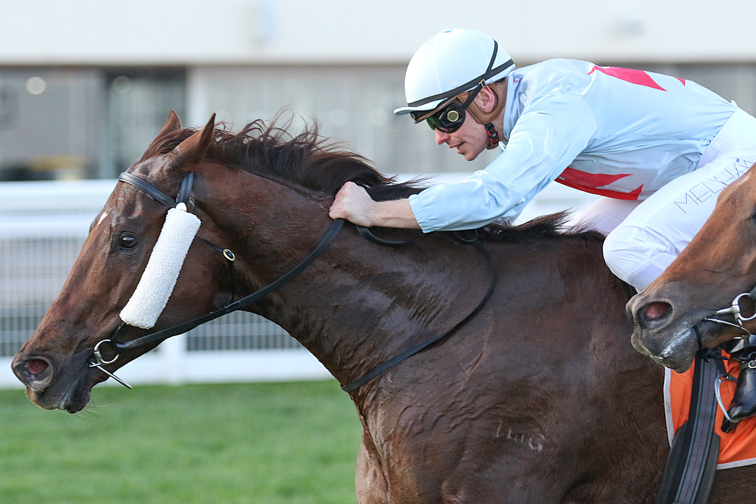 Horse Racing News: Red Can Man out to end long drought | Sports News ...