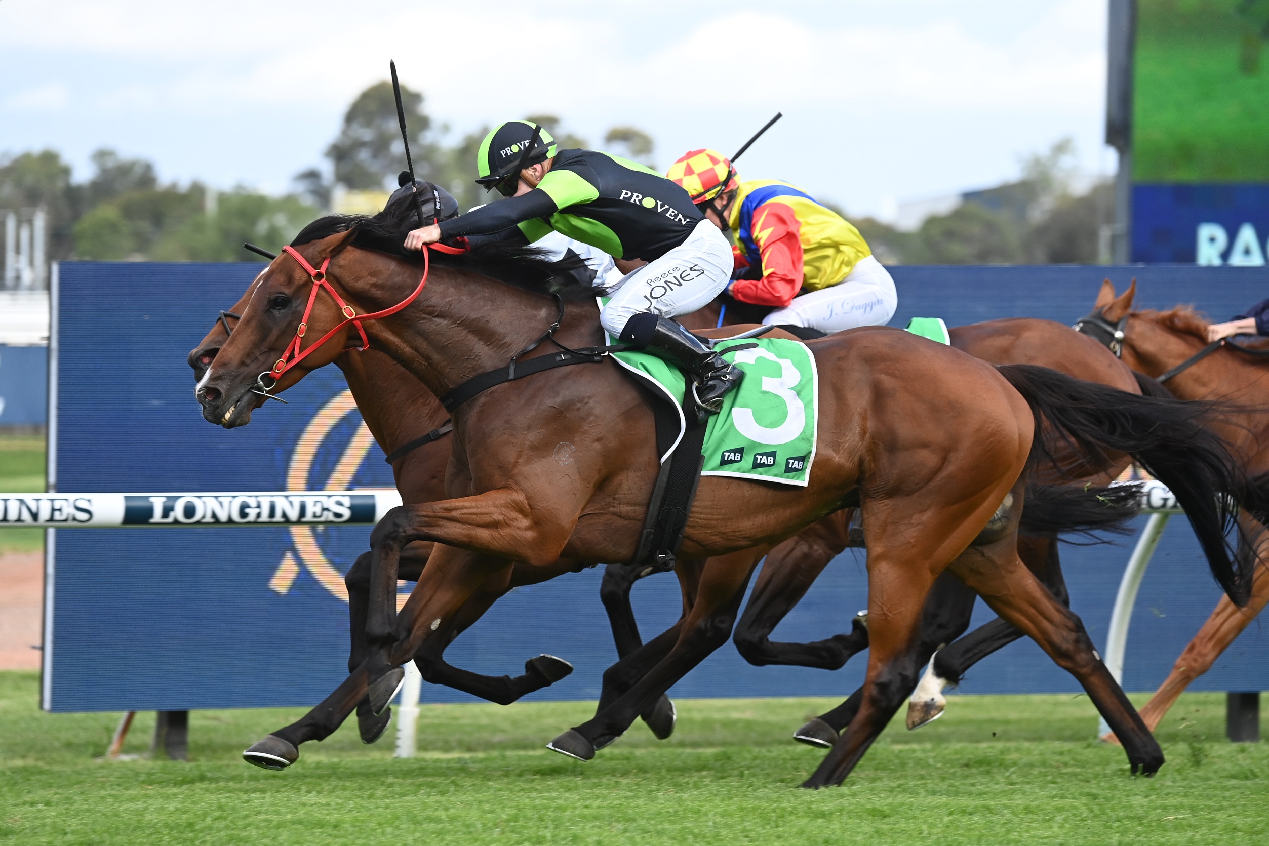 Trainer Joe Pride with a perfect three at Rosehill | Sports News Australia