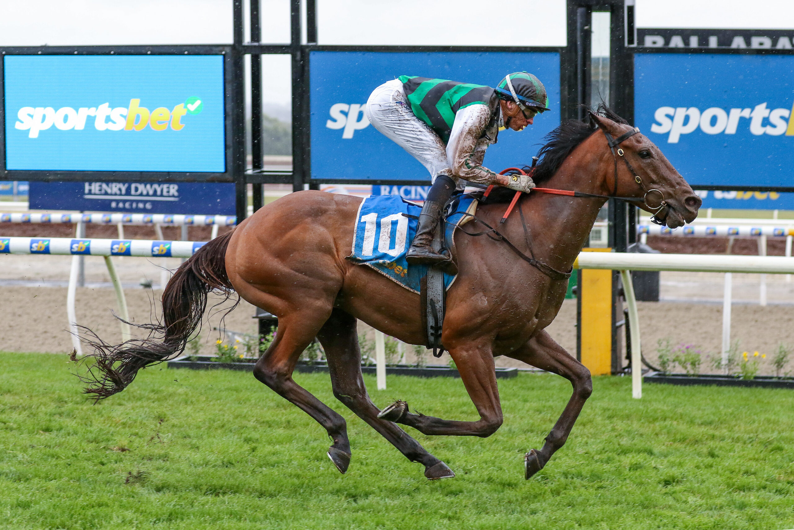 Spring campaign starts in the Mornington Cup 2024 for Preusker | Sports ...