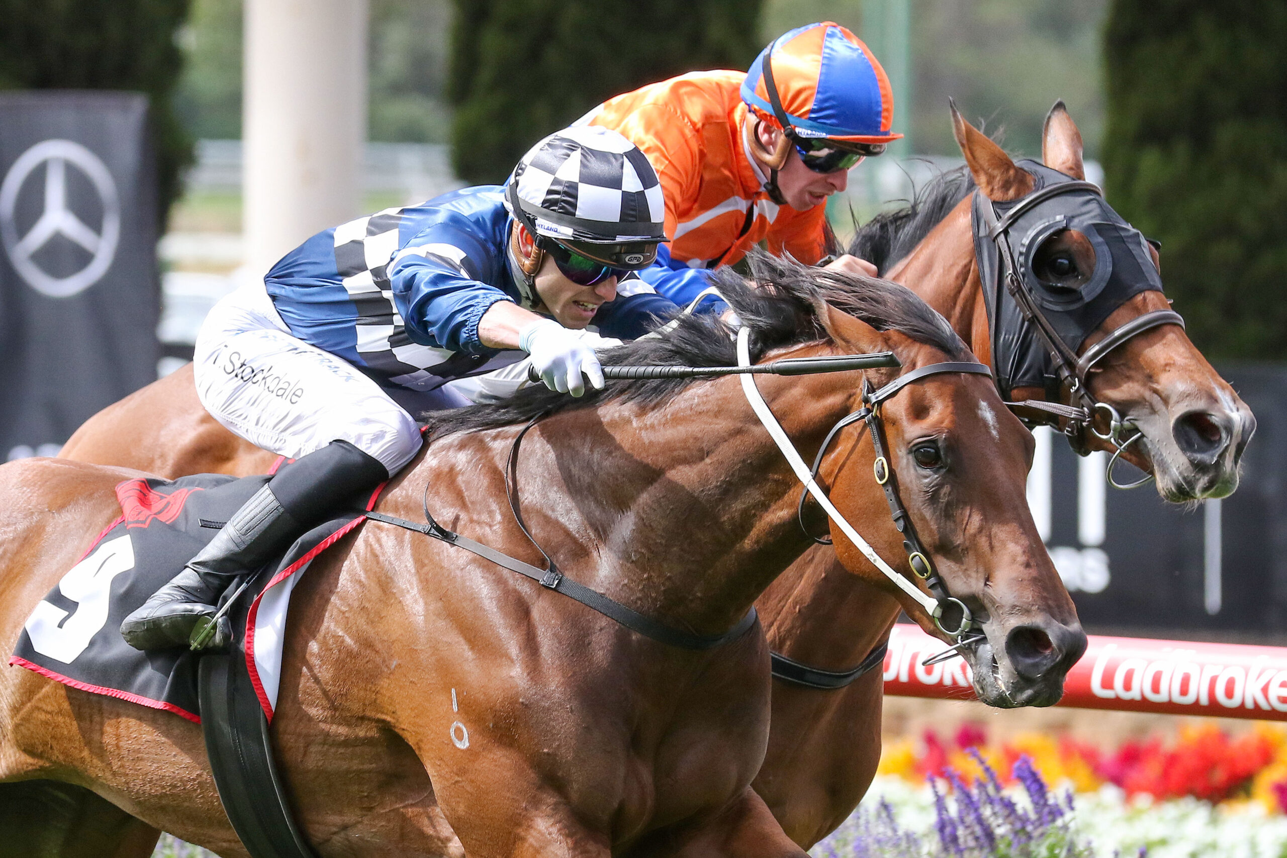 Vibrant Sun shines in the Australasian Oaks 2024 | Sports News Australia