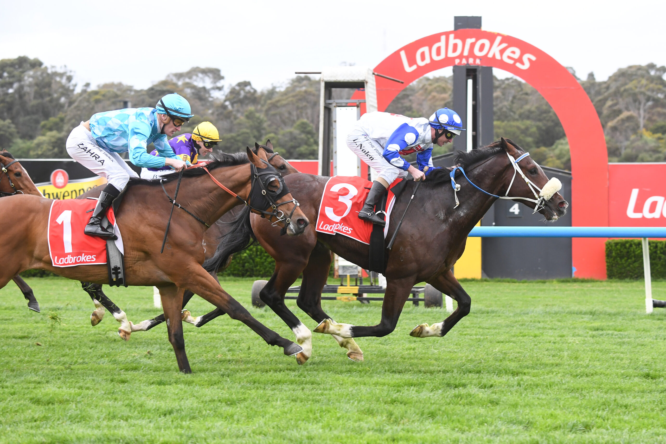 Moody-Coleman pair on trial for Queensland trip in Mornington Guineas ...