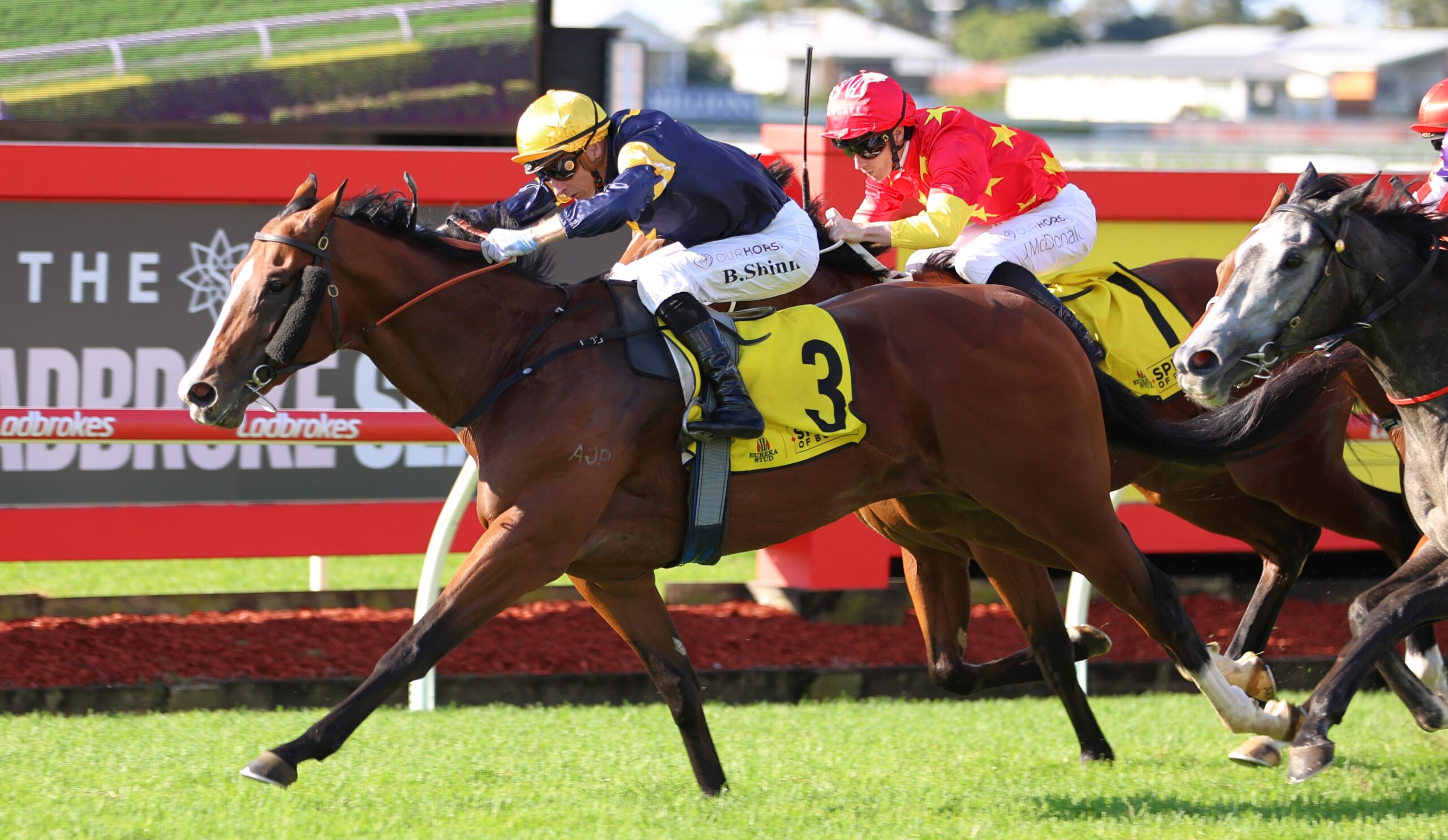 Horse Racing News: Blake Shinn to navigate wide draw on Bittercreek ...