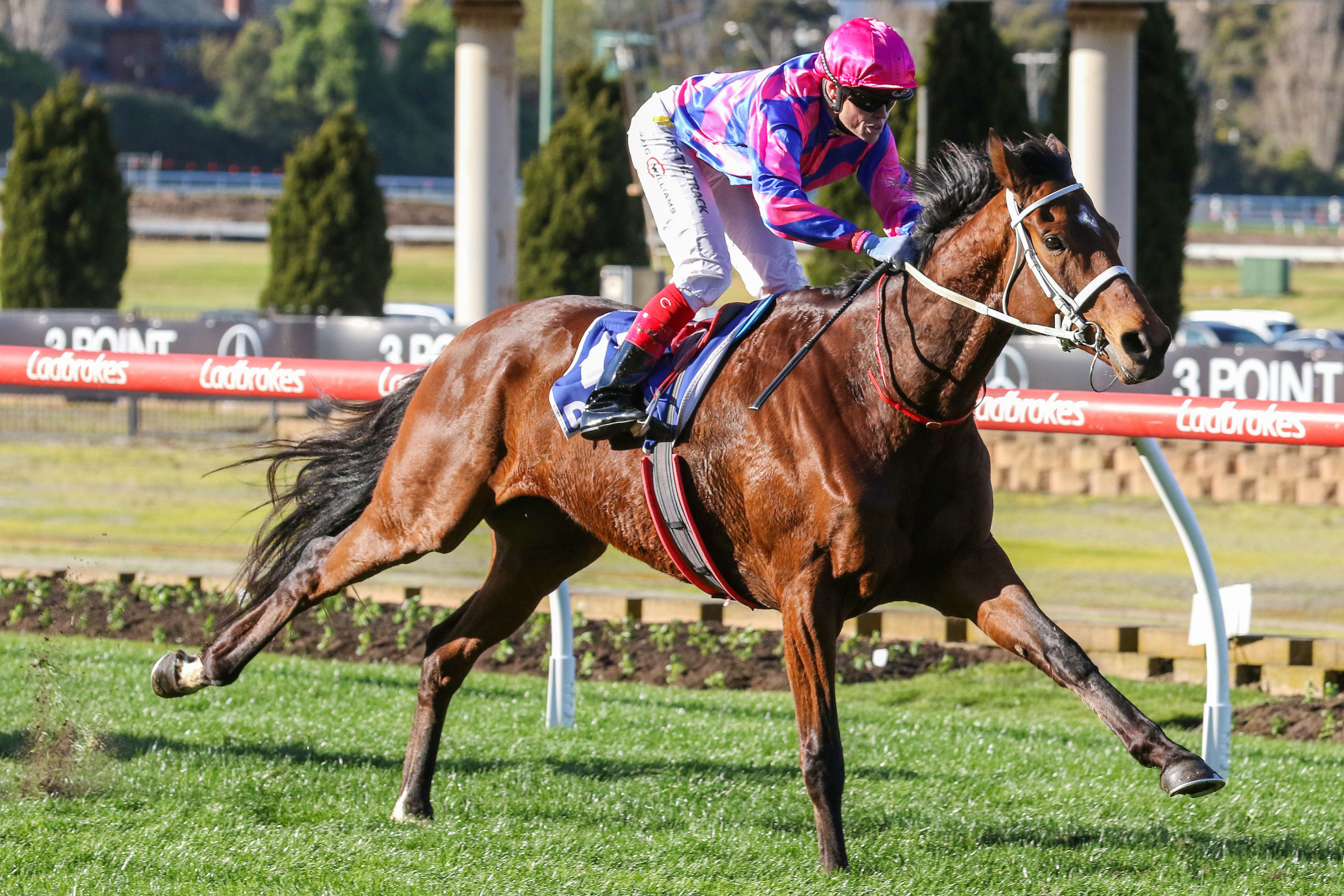 Bool battler chasing Melbourne Cup 2024 dream | Sports News Australia