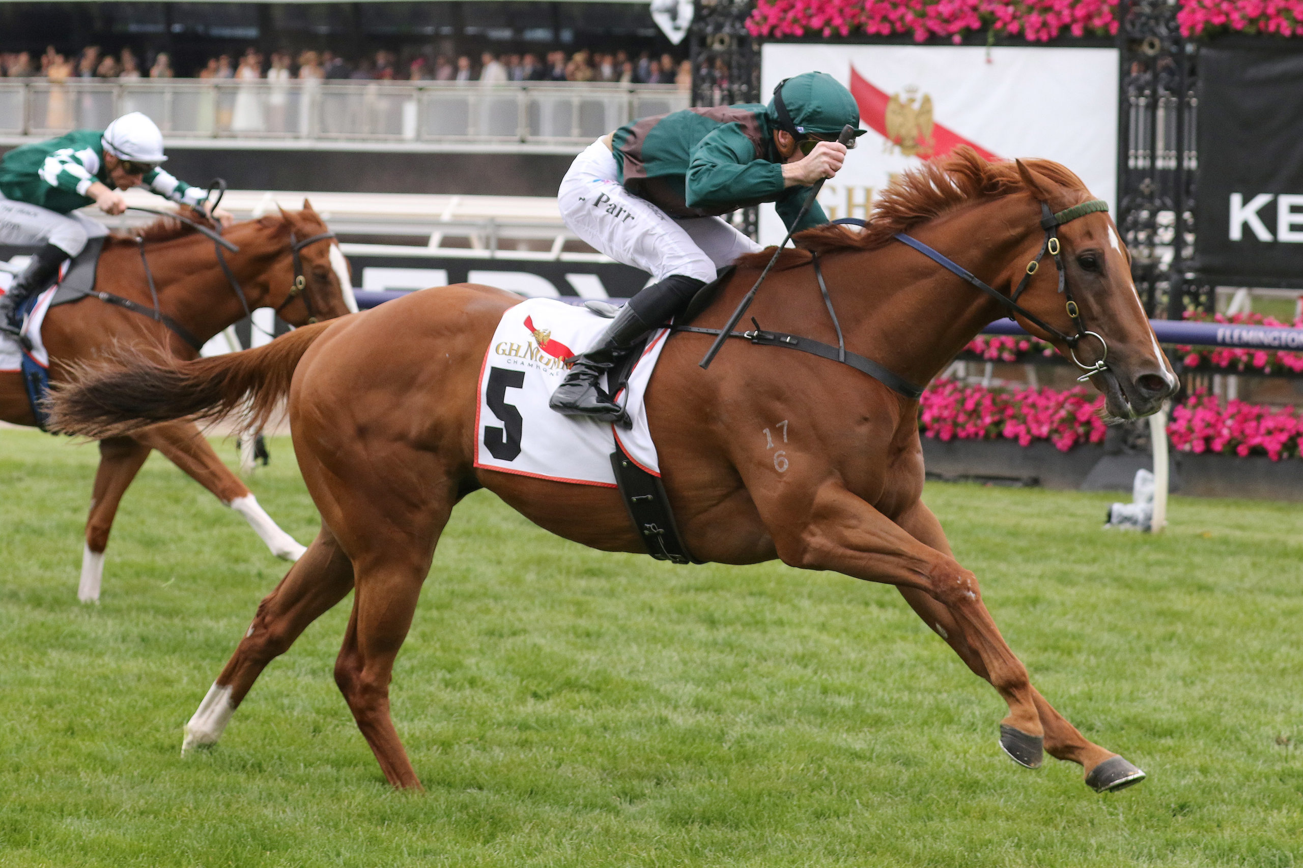 Joyful Fortune returns for The Straight Six 2024 contest | Sports News ...