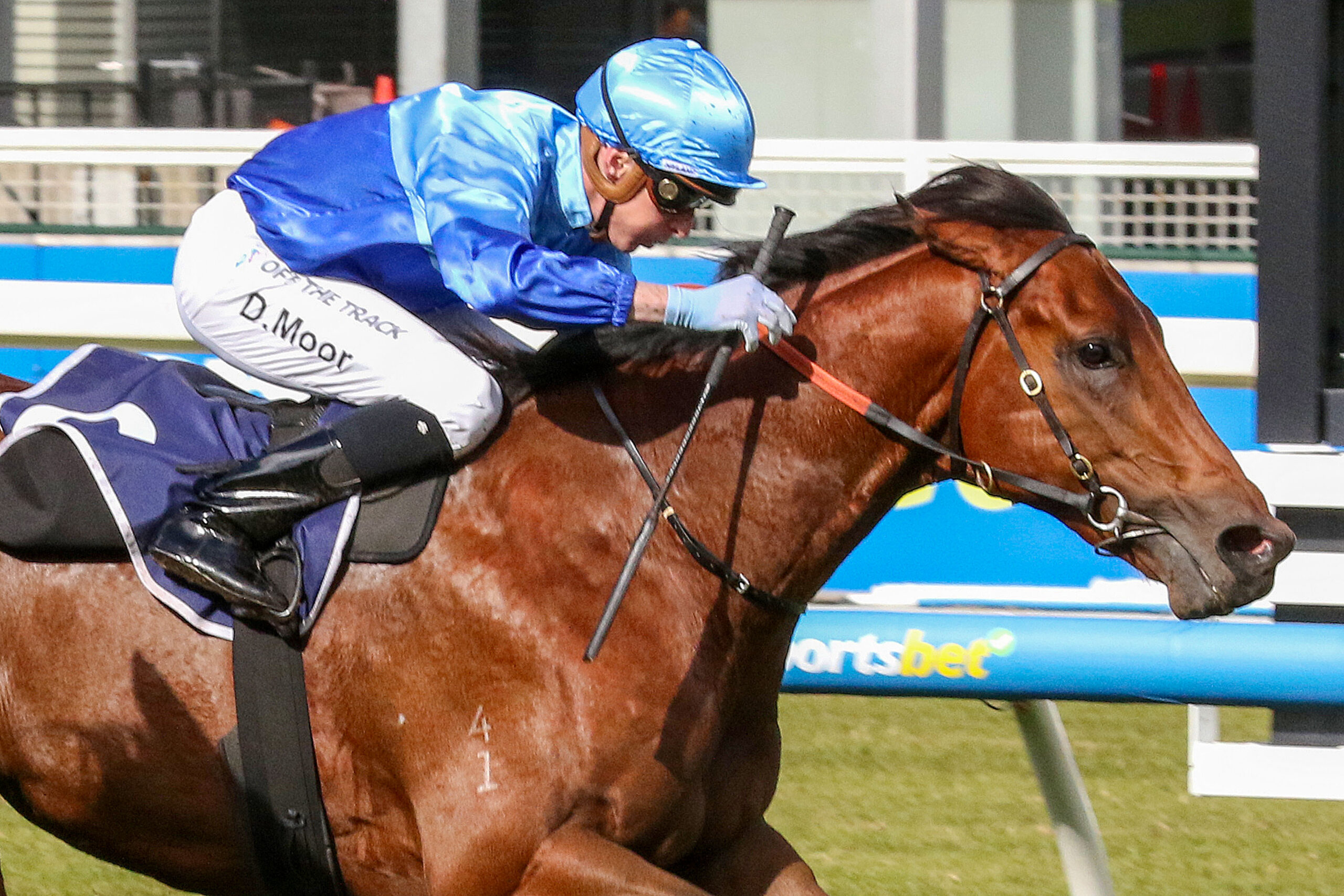 Tropicus shows a touch of class with his debut win at Caulfield races ...