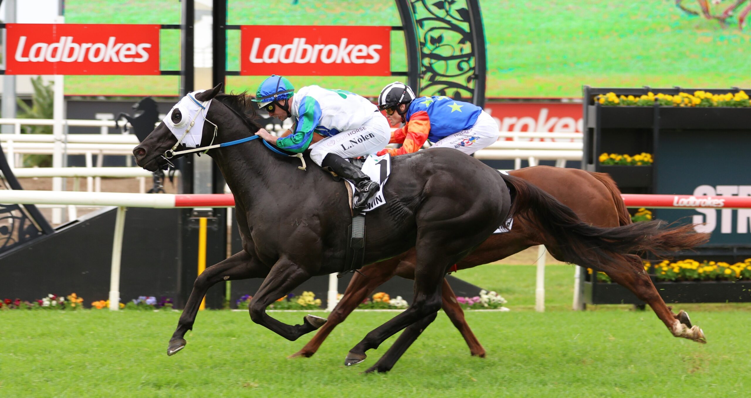 Luke Nolen makes triumphant return on I Wish I Win in Kingsford Smith ...