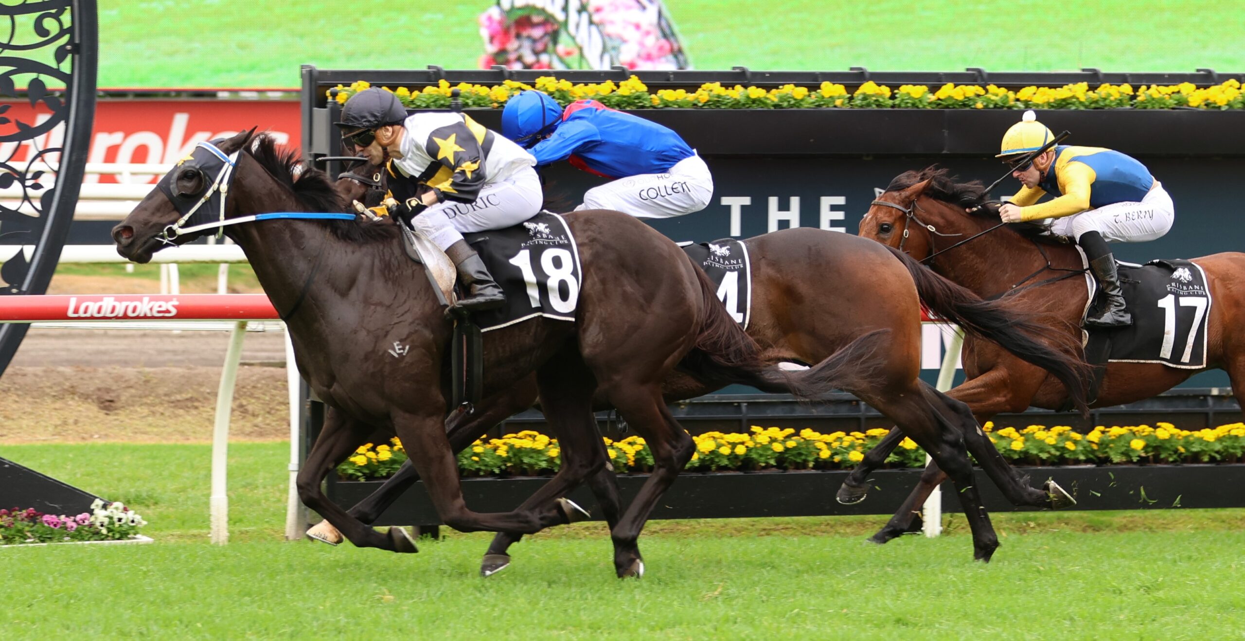 Stradbroke Handicap 2024 mount reward for hard work | Sports News Australia