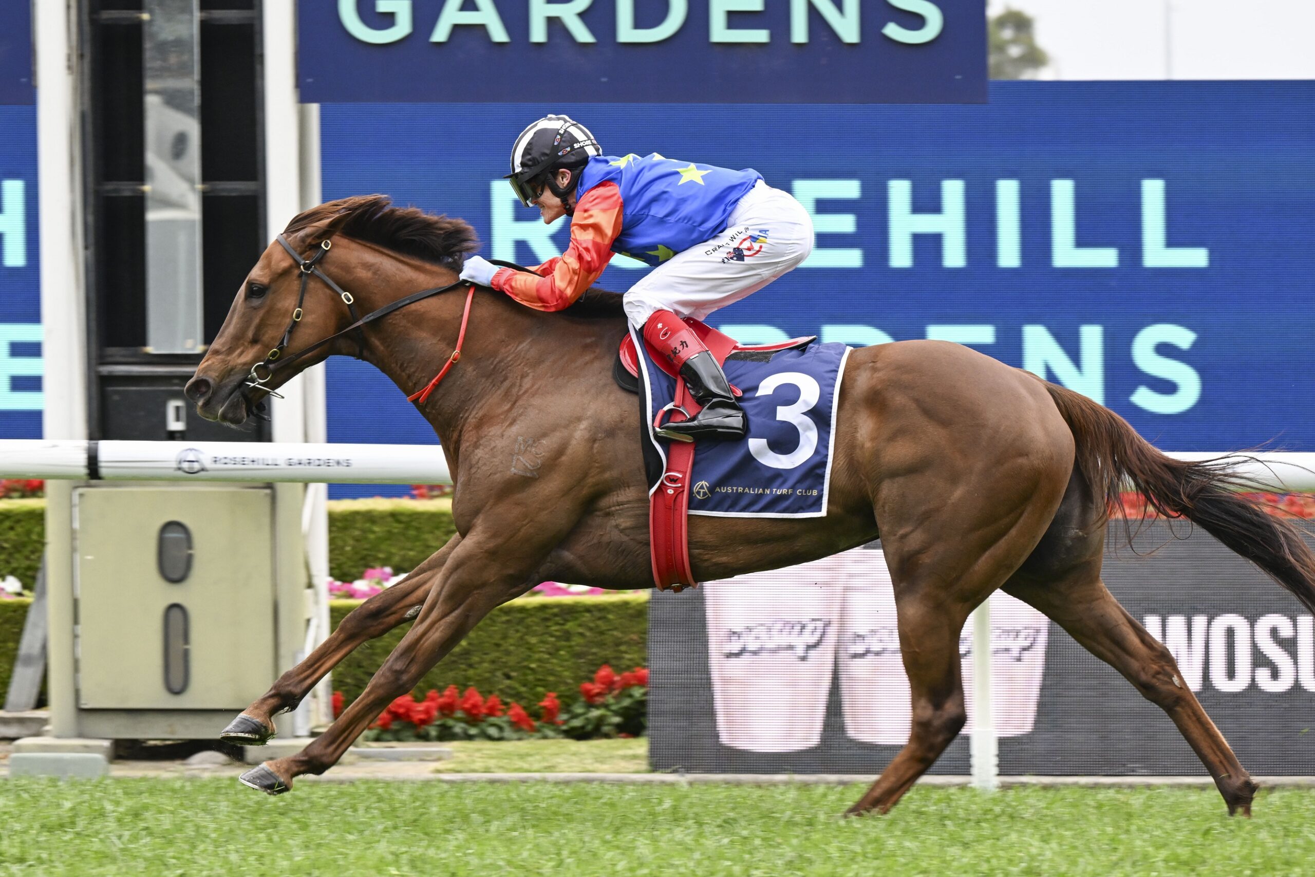 Horse Racing News: Bella Nipotina back in work, UK a possibility ...