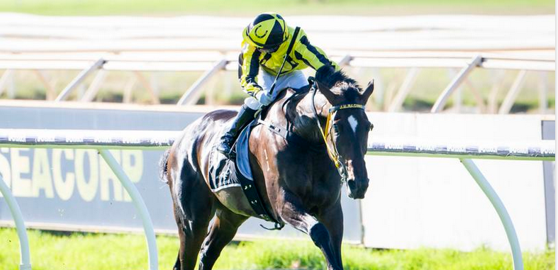 Horse Racing News: Machine Gun Gracie to chase Group 1 in Perth ...