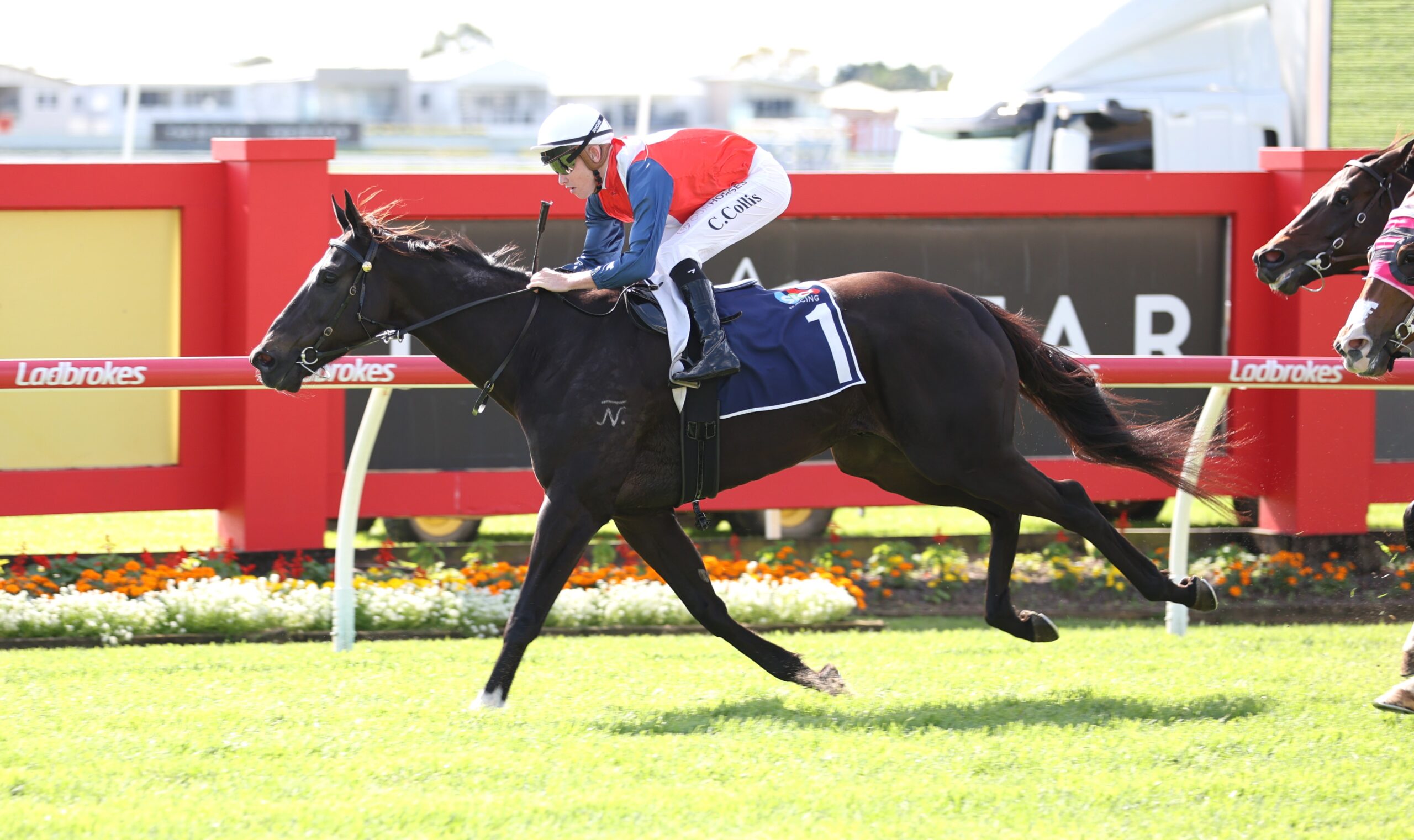 Kelly Schweida chasing more black-type in Eye Liner Stakes 2025 ...