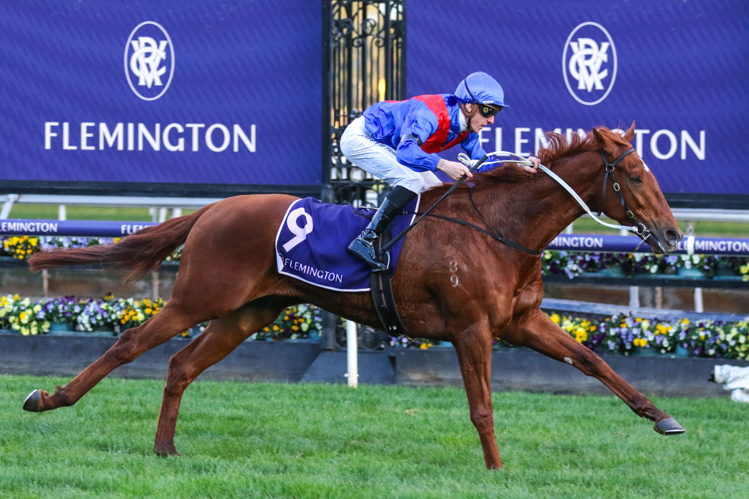 Turnbull Stakes 2025 the Golden Path for Caulfield Cup hope | Sports ...