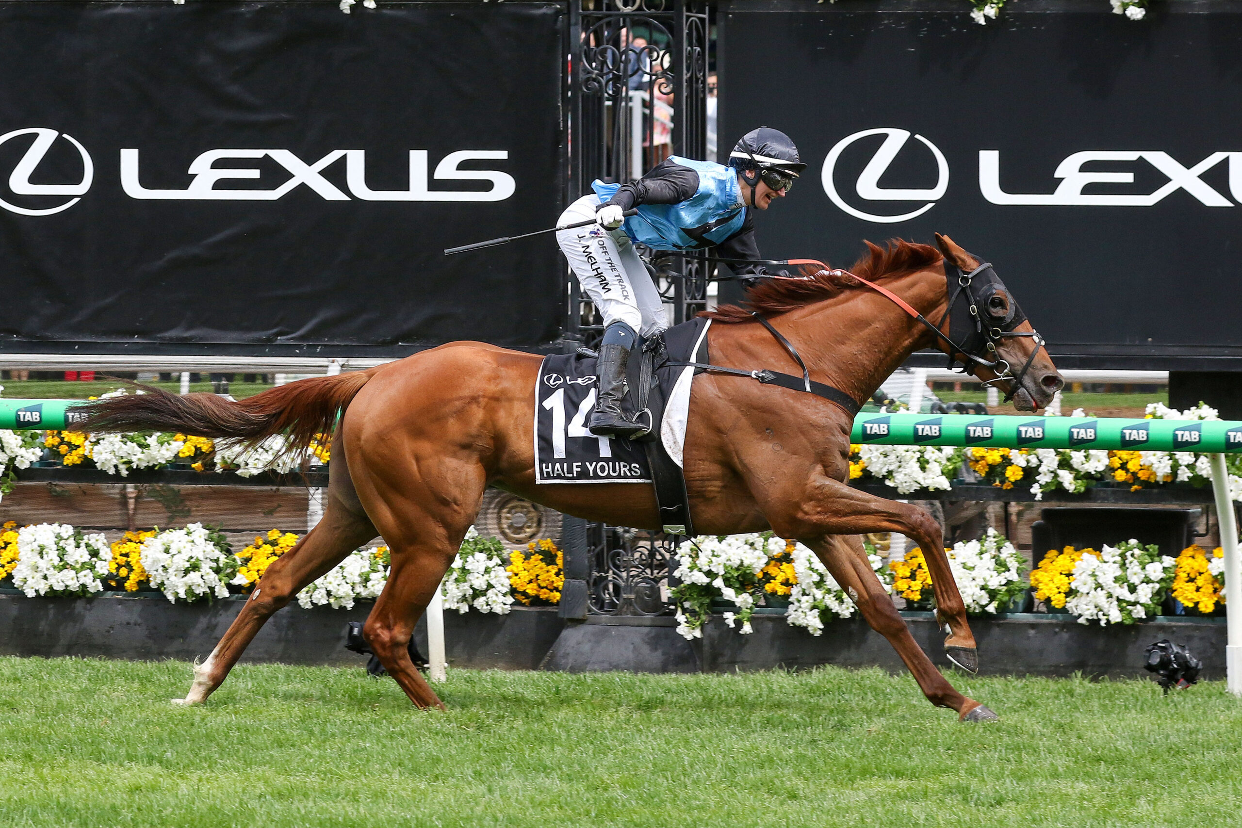 Melbourne Cup winner Half Yours begins 2026 campaign | Sports News ...