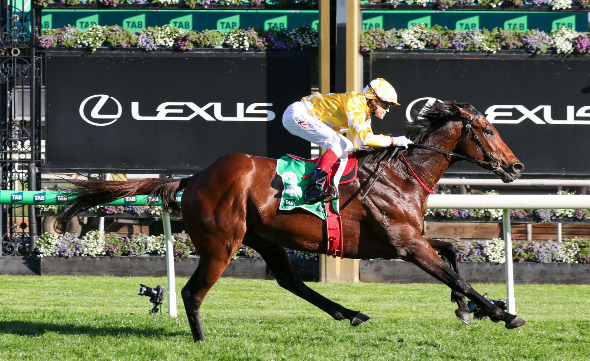 Star horses down to trial at Randwick | Sports News Australia