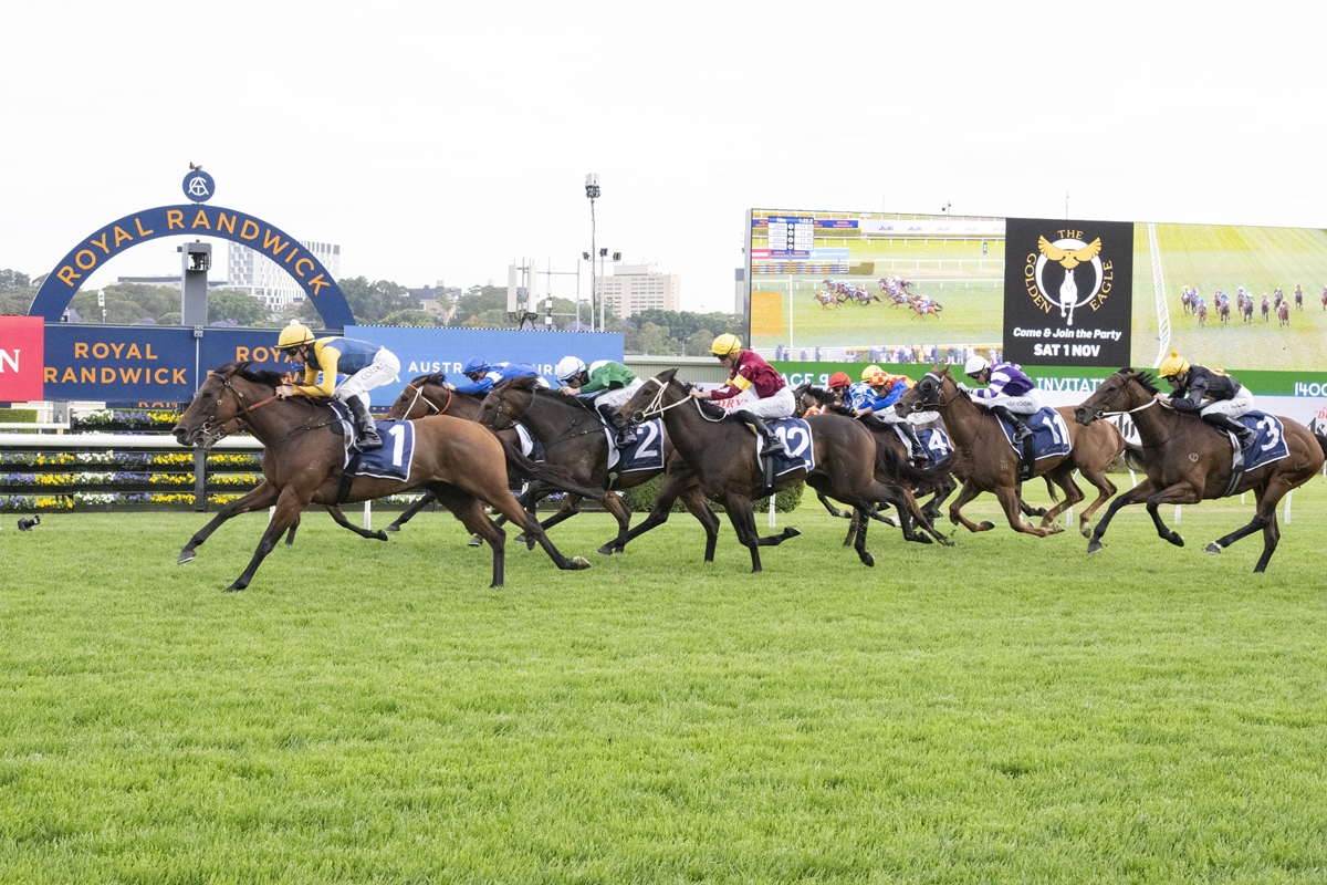 Horse Racing News: Stars on show at Warwick Farm trials | Sports News ...