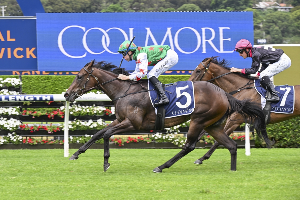 Spicy Miss confirmed for 2026 Sweet Embrace Stakes, Ciaron’s Star ...