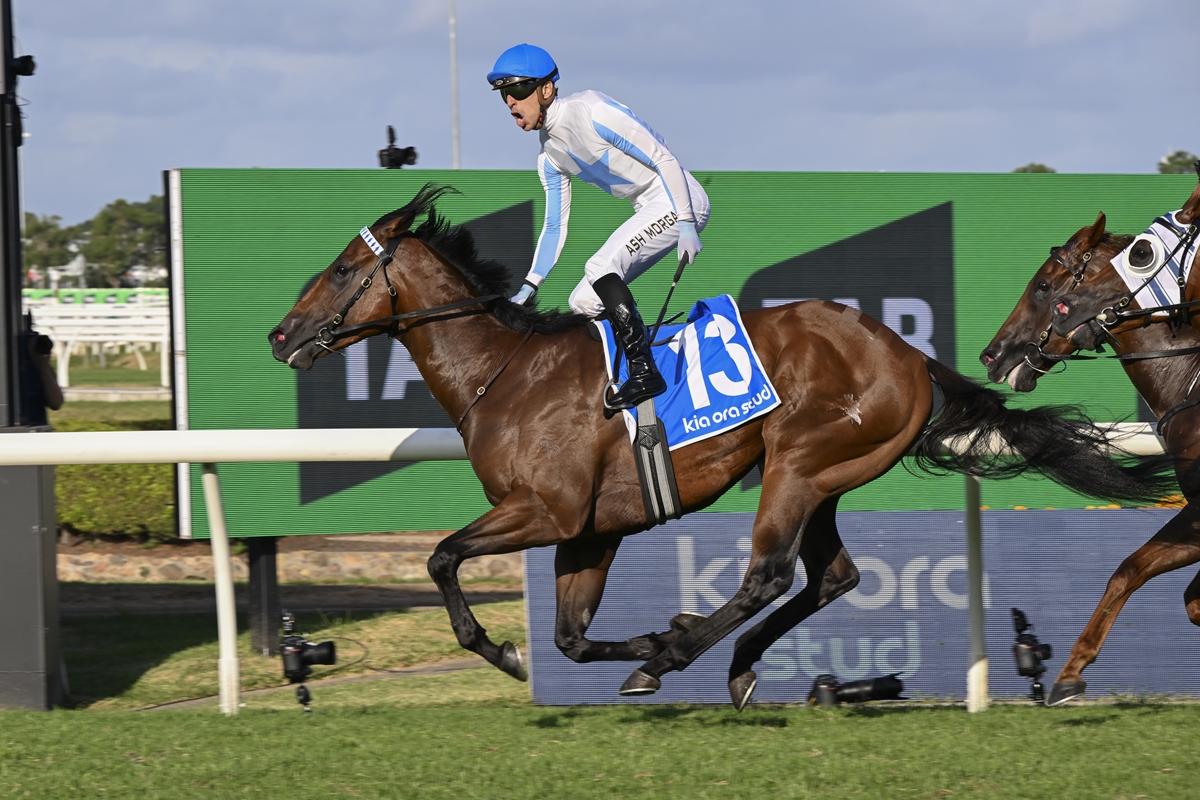 Private Harry in fine fettle for 2026 Victory Stakes per Morgan ...